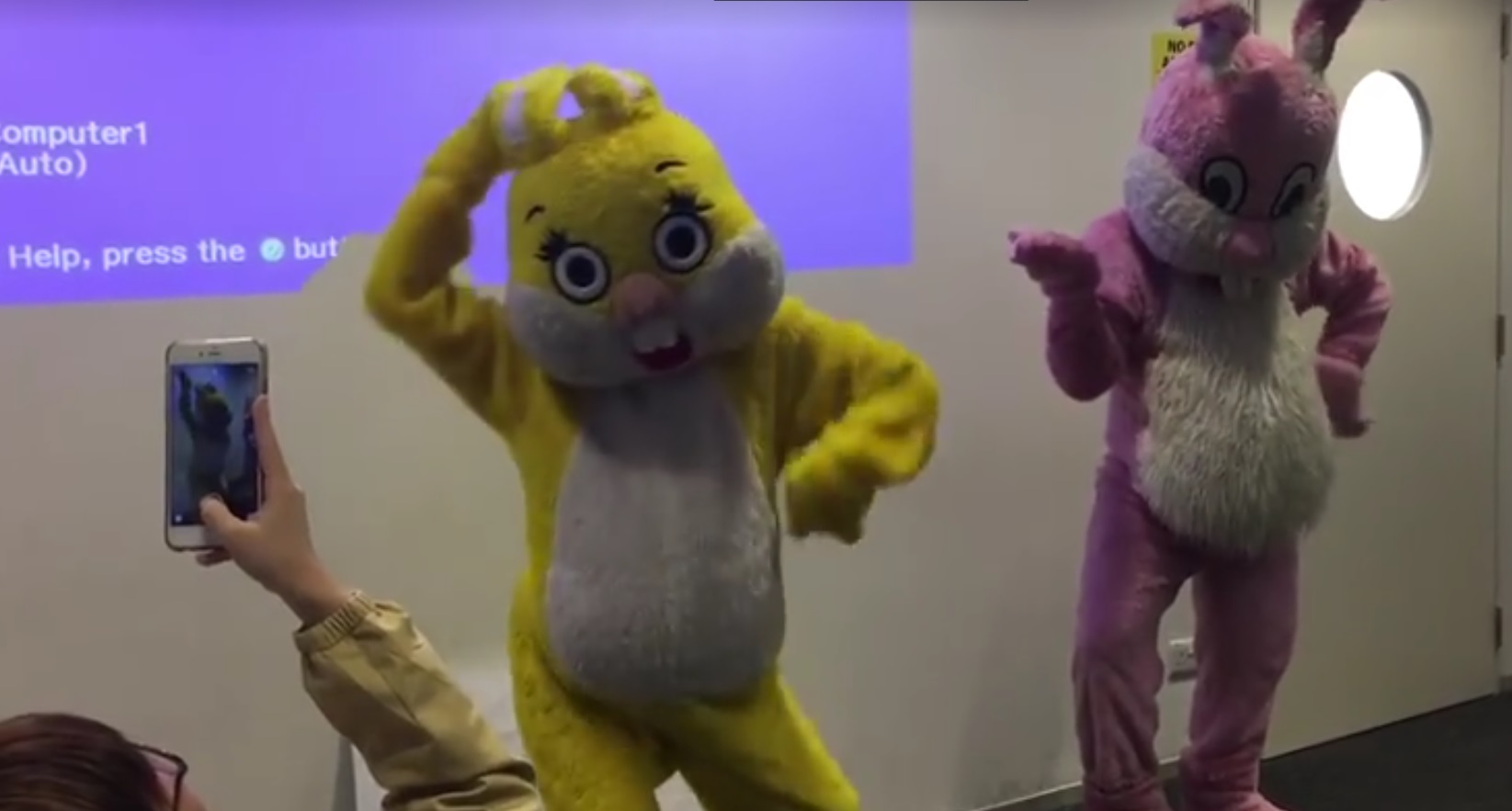 Poly Lecturer Wore Bunny Costume To Teach Students Teamwork And ...