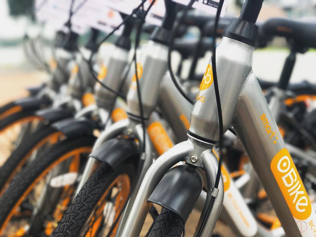 oBike Users' Email Addresses And Phone Numbers Leaked Online In Database Hack