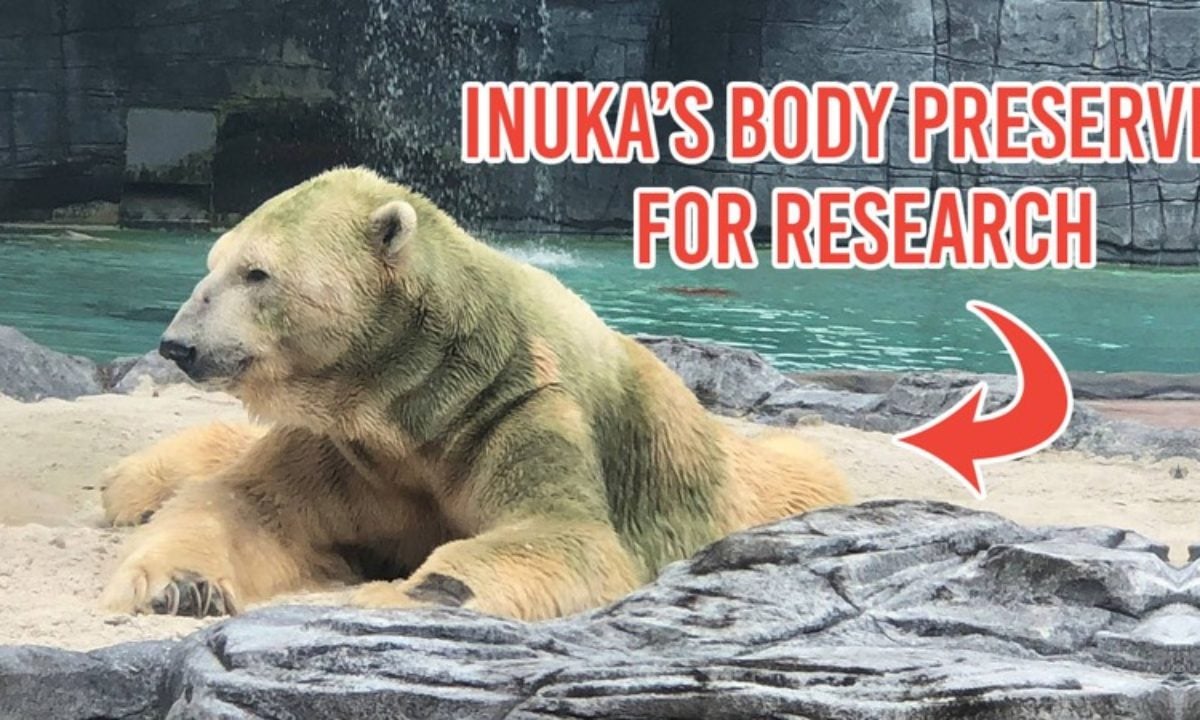 Inuka Hospital, Kisumu (+254 716 173299)