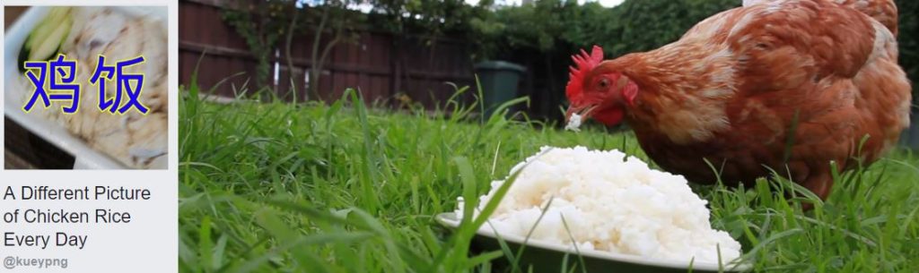This Singaporean Posts A Different Picture Of Chicken Rice Everyday