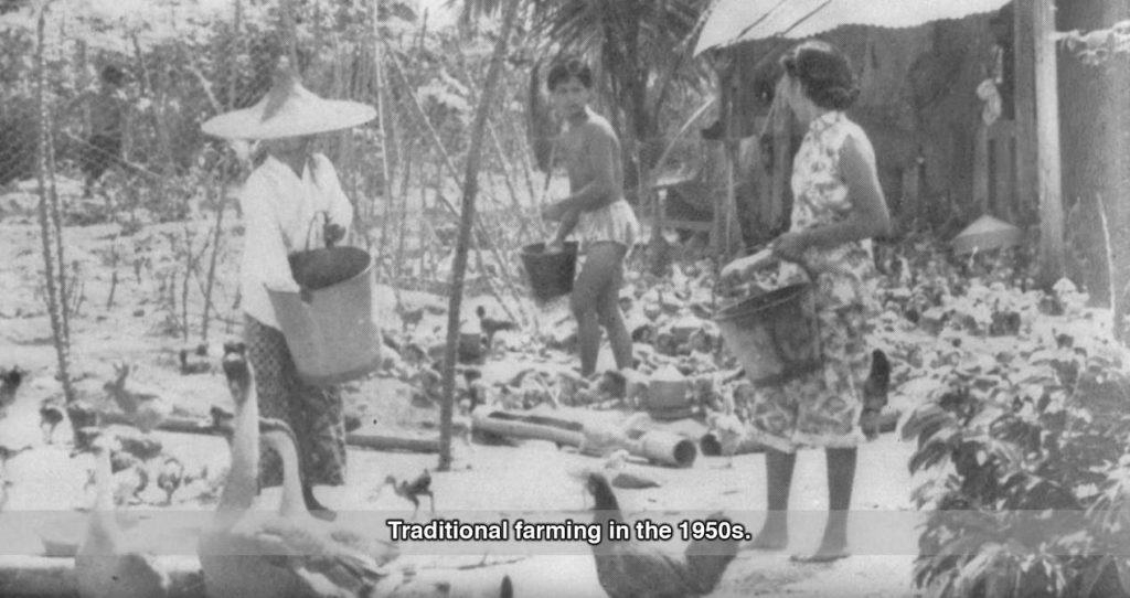 10 Ways Poultry Pioneer Ho Seng Choon Began A Farming Revolution In ...