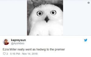 Adorable Harry Potter Dolls At Changi Airport Have Fans Screaming 'Accio'
