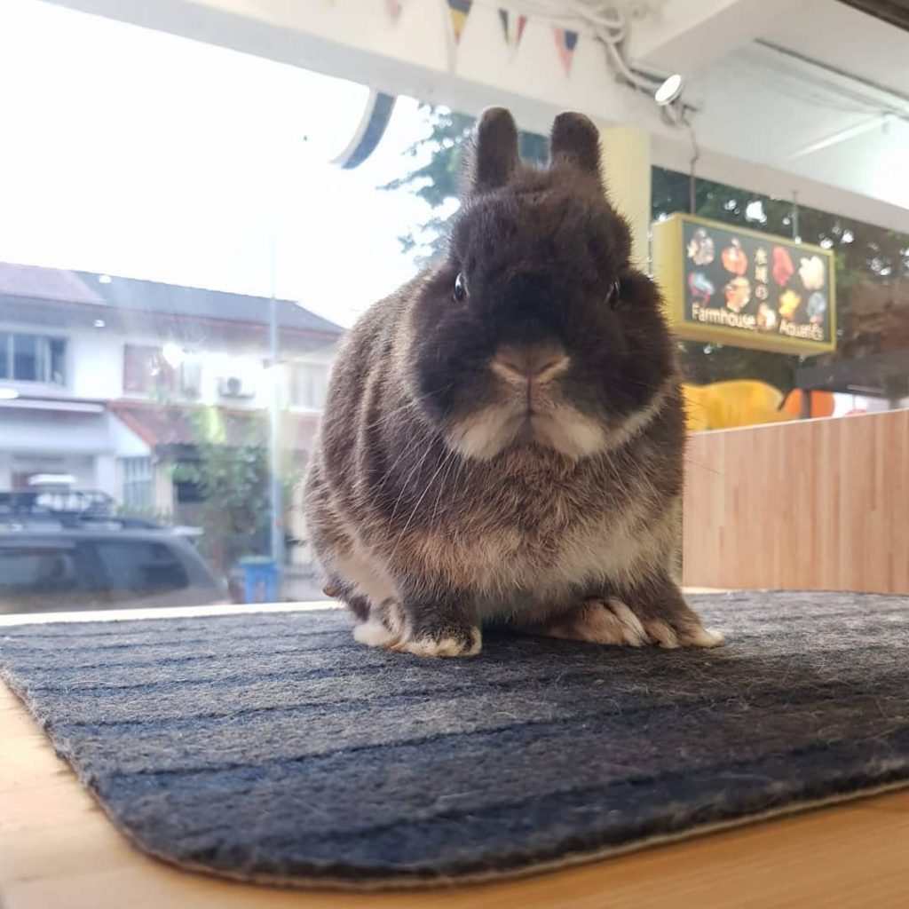 7 Places For Family Outings To Reduce Your Kids’ Screen Time In S'pore