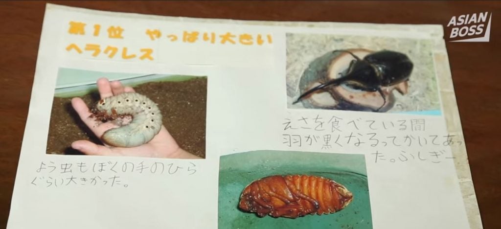 Insect Chef's First Love Was His Cockroach; He Also Ate Her When She Died