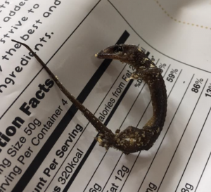 Fried Lizard Makes Unwanted Appearance In Irvins Salted Egg Snack Bag