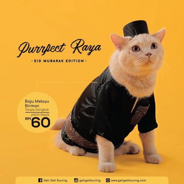 These Hari Raya Cat Outfits Will Give Your Feline Friends A Selamat ...