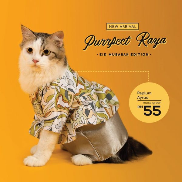These Hari Raya Cat Outfits Will Give Your Feline Friends A Selamat ...