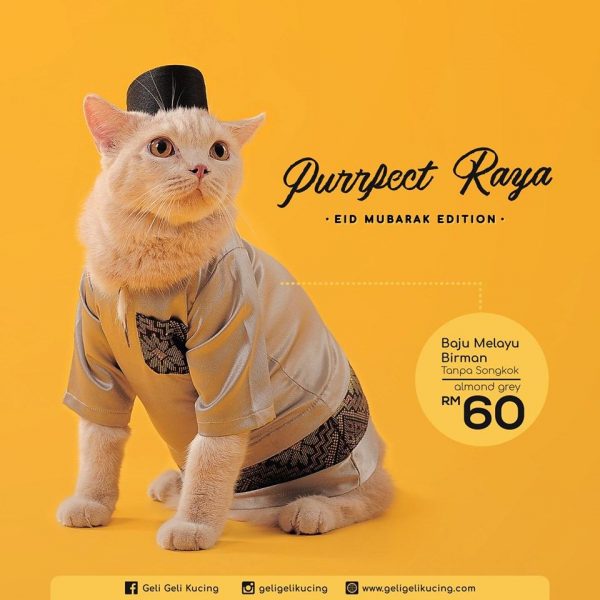 These Hari Raya Cat Outfits Will Give Your Feline Friends A Selamat ...
