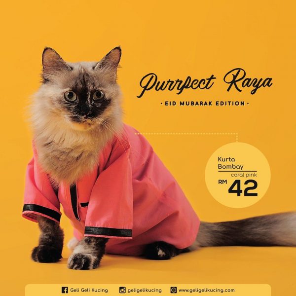 These Hari Raya Cat Outfits Will Give Your Feline Friends A Selamat ...
