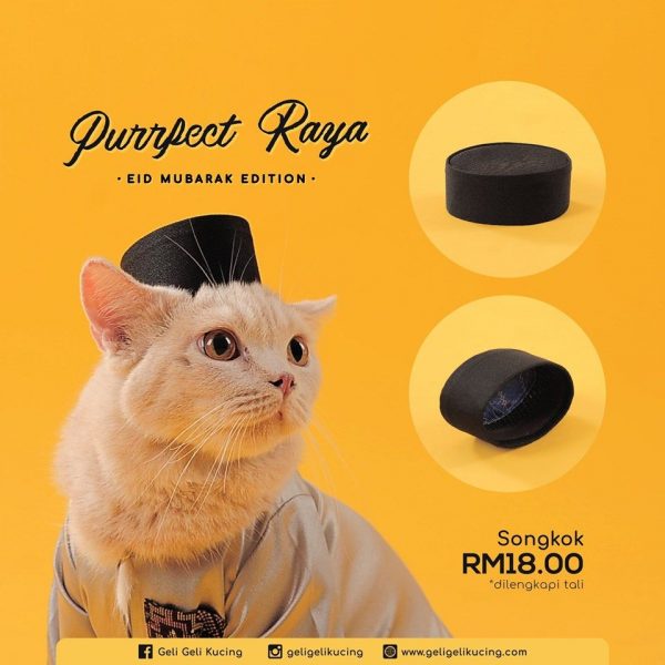 These Hari Raya Cat Outfits Will Give Your Feline Friends A Selamat ...