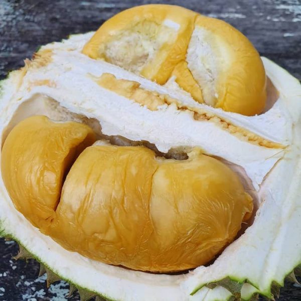 Genting Durian Festival Has 50 Tonnes Of Musang King, XO & Black Thorn ...