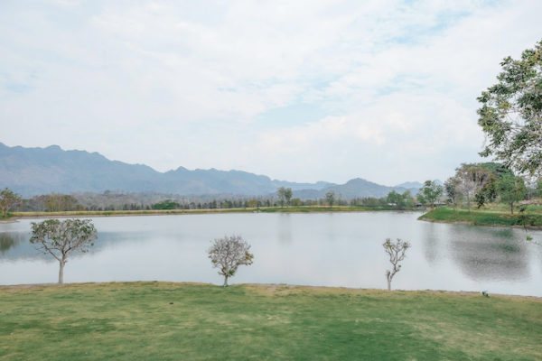 Thailand's Pirom Cafe Has A Hedge Maze Garden, Scenic Lake & A $3 ...