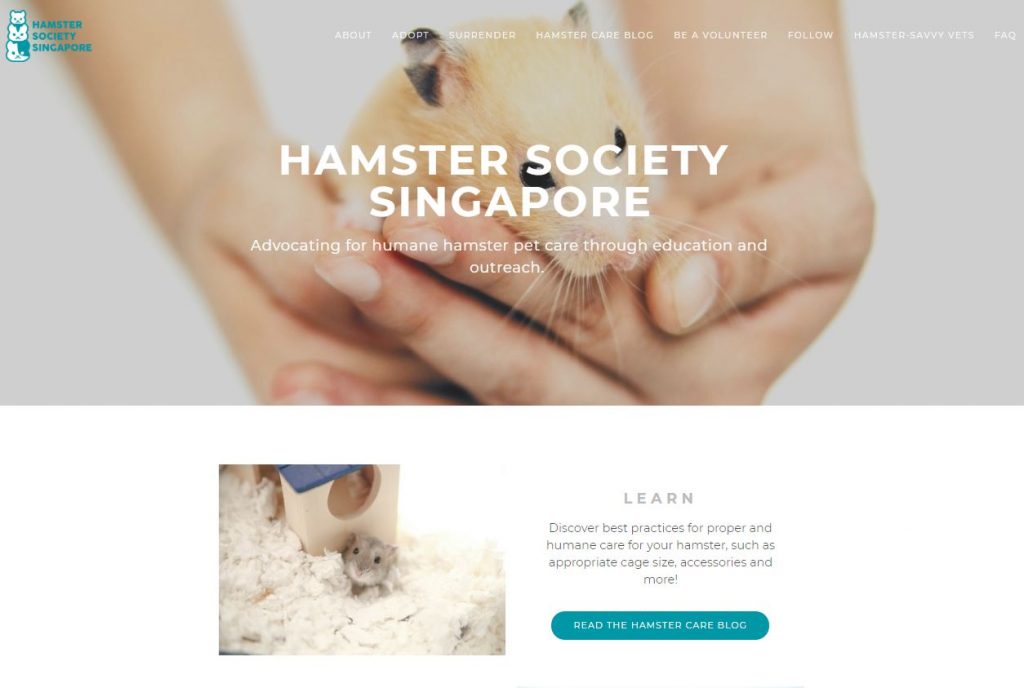 Hamster Society Singapore Stops Hamsters From Being Abused; Over 8 ...