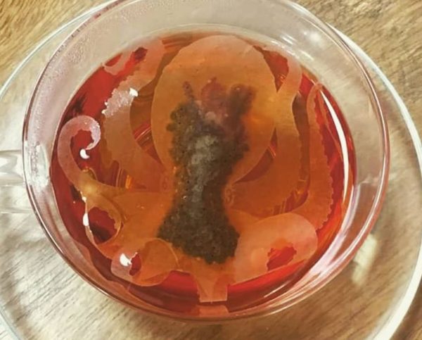 These Sea Creature Tea Bags 'Come To Life' When You Use Them To Brew ...