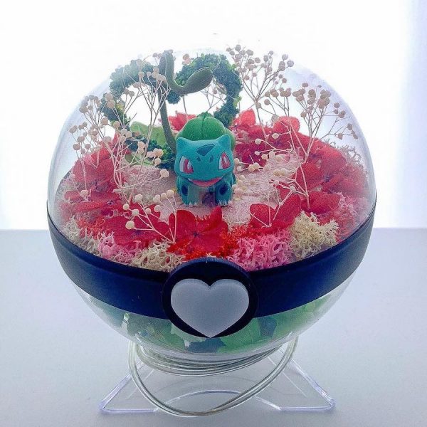 These Pokémon Terrariums Will Give You A Magical Glimpse Into Poké Balls