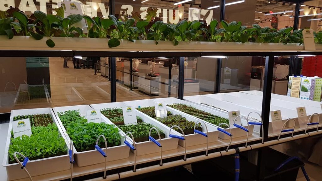 FairPrice Xtra VivoCity Is The Largest In Singapore With In-Store Deli ...