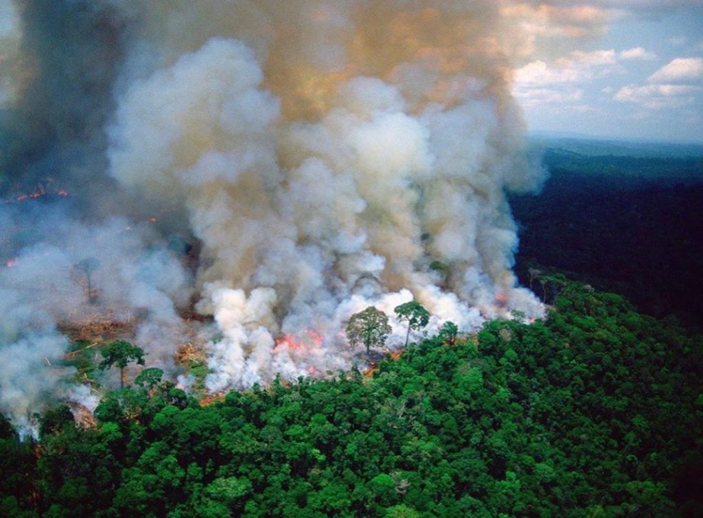 Amazon Forest Is In Flames, S'poreans Can Help By Donating To Protect ...