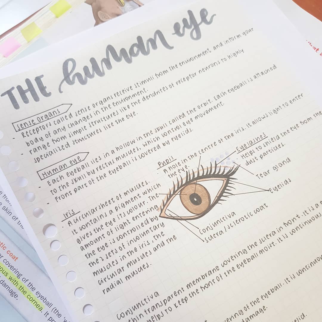 Studygram Inspires S'porean Students To Do Notes With Colours, Cursives ...