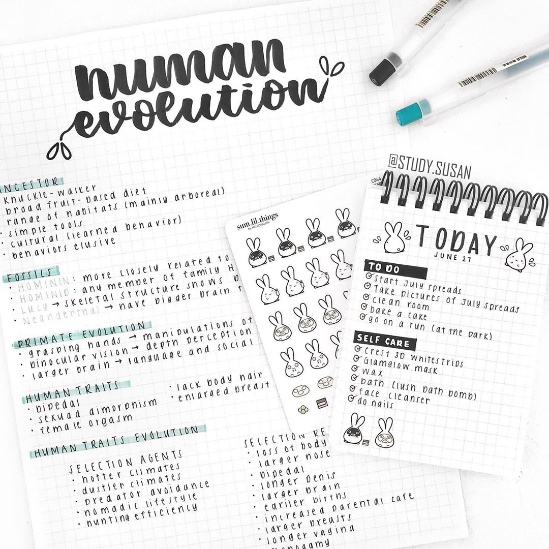 Studygram Inspires S'porean Students To Do Notes With Colours, Cursives ...