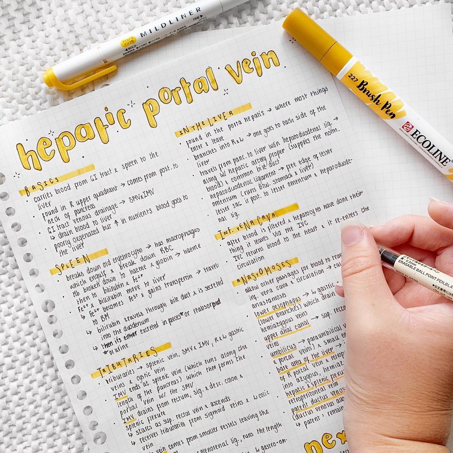 Studygram Inspires S'porean Students To Do Notes With Colours, Cursives ...