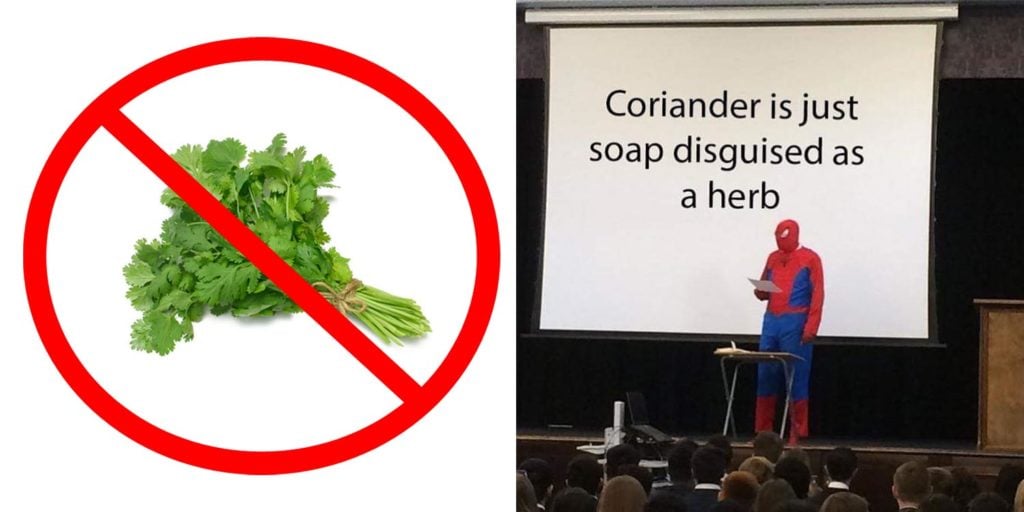 Coriander Haters Create Facebook Page, Uniting Over 230,000 'Enemies Of ...