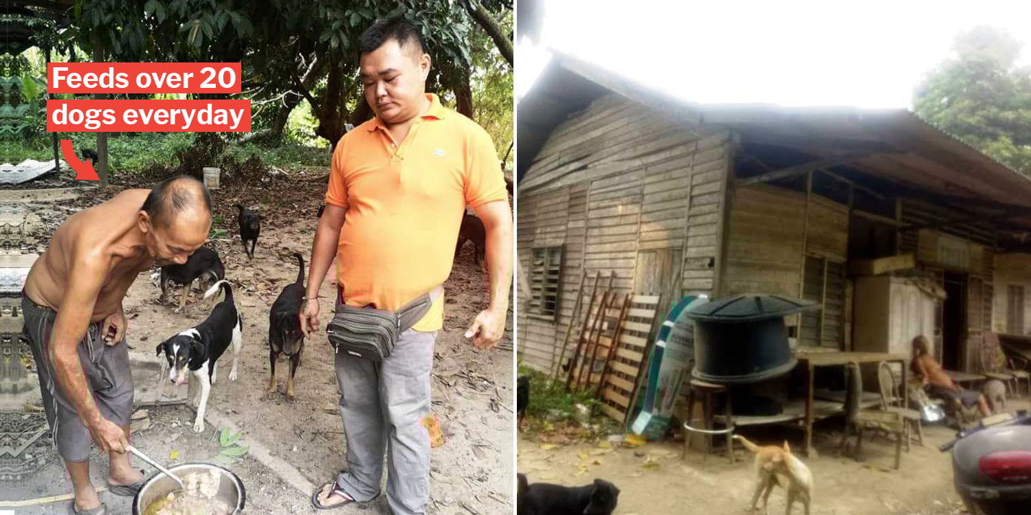 Poor M'sian Uncle Feeds Stray Dogs Daily Despite Not Having Enough Food ...