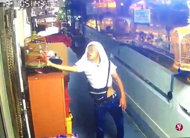 Bird Thief In S'pore Gets Caught On Camera After His 'Disguise' Leaves ...