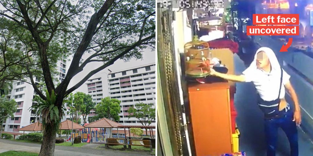 Bird Thief In S'pore Gets Caught On Camera After His 'Disguise' Leaves ...