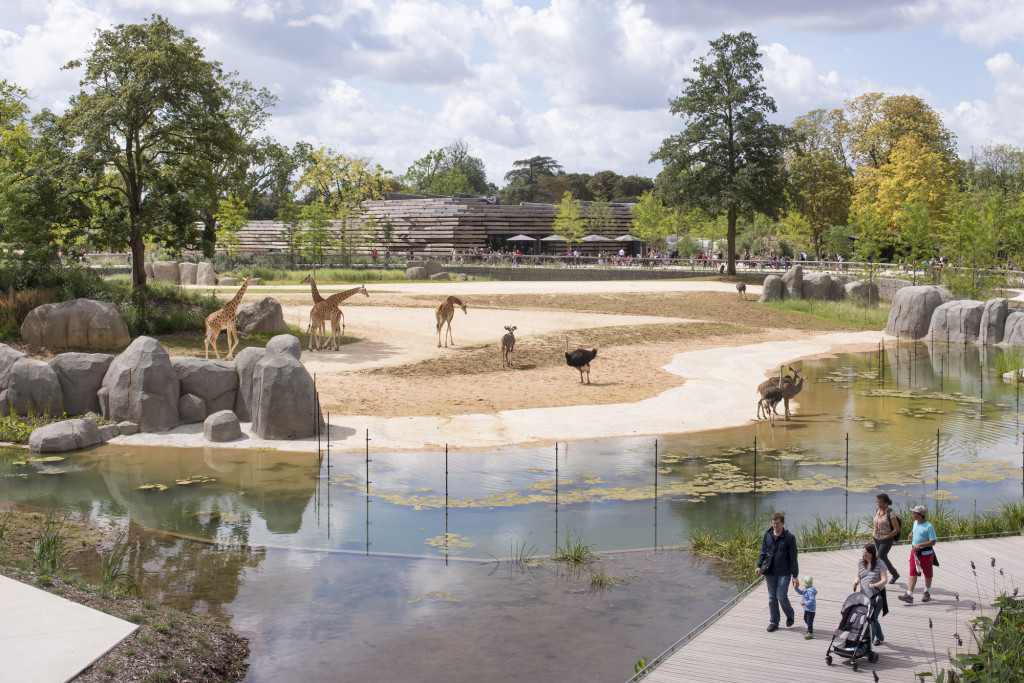 Strange Blob Organism In Paris Zoo Has 720 Sexes & No Brain, Yet Has Problem-Solving Skills