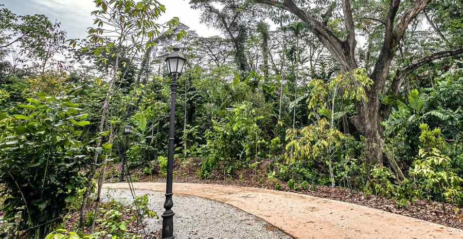 Botanic Gardens Now Has 350m Ridge Top Walk Taking You To Greater ...