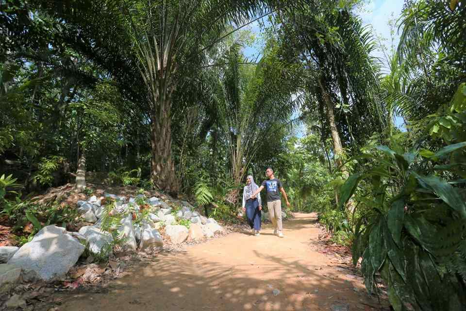 Botanic Gardens Now Has 350m Ridge Top Walk Taking You To Greater ...
