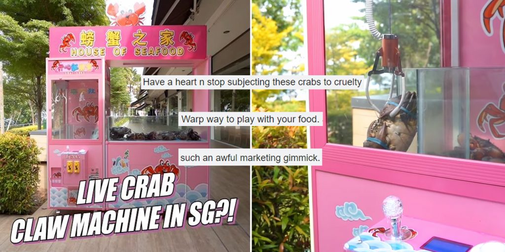 House Of Seafood's Claw Machine With Living Crabs Is Cruel, Tasteless ...