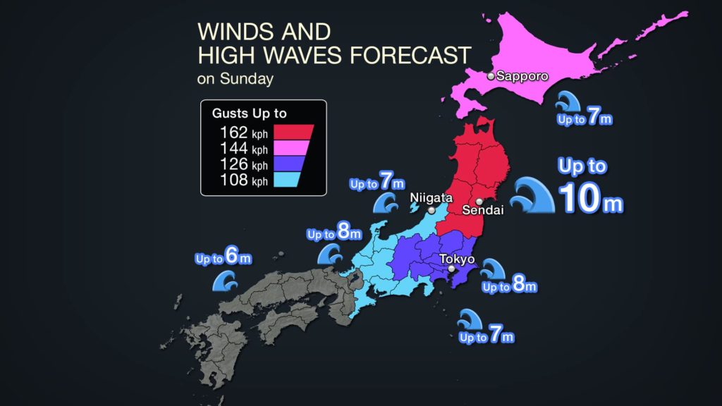 Japan Typhoon May Hit Okishima Cat Island & We're All Worried For The ...