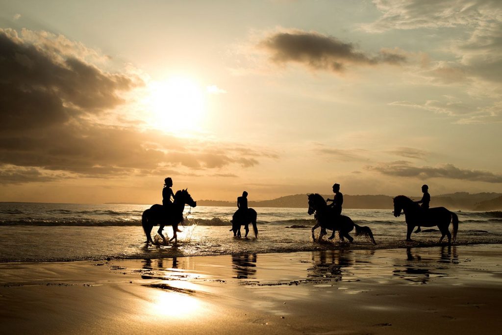 Stunning Bali Resort Lets Guests Swim With Horses Every Morning, Just 3 ...