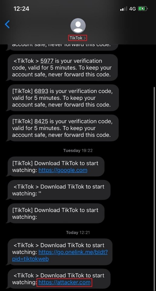 Tiktok Found With Security Flaws That May Give Hackers Access Says