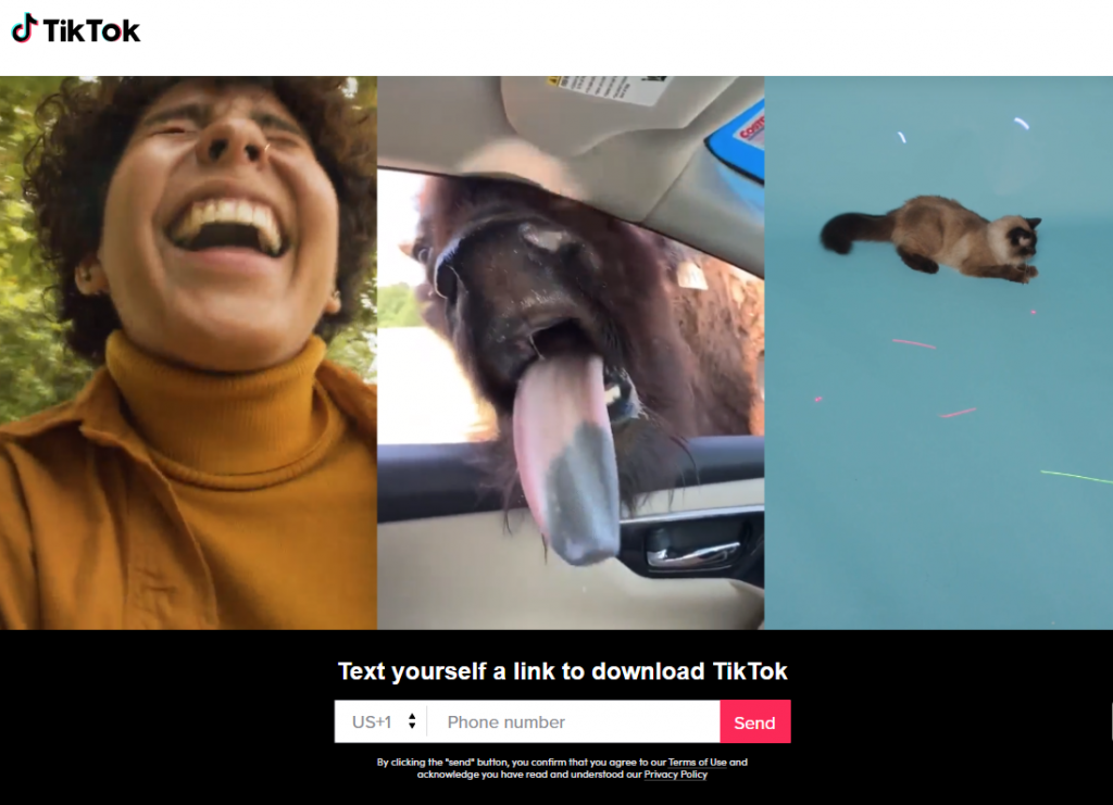 Tiktok Found With Security Flaws That May Give Hackers Access Says