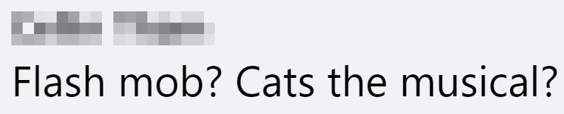 Cat Cosplayer With Extremely Legit Costume Takes MRT, Purrs Like Real ...