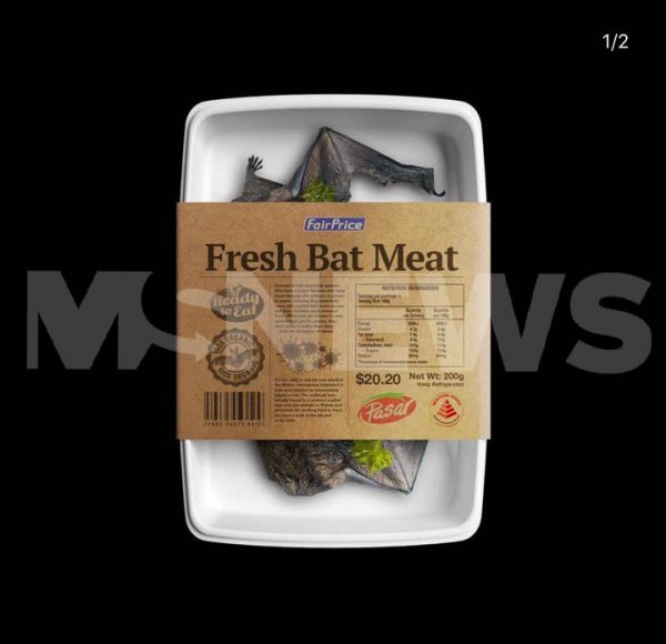NTUC FairPrice Calls Out Instagrammer For Fake Bat Meat Photo, Says Act ...
