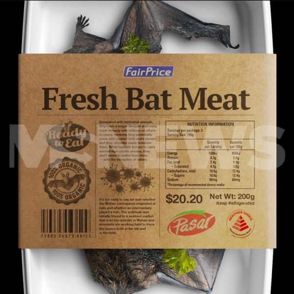 NTUC FairPrice Calls Out Instagrammer For Fake Bat Meat Photo, Says Act ...