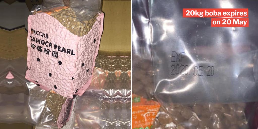 These Pokémon Terrariums Will Give You A Magical Glimpse Into Poké Balls