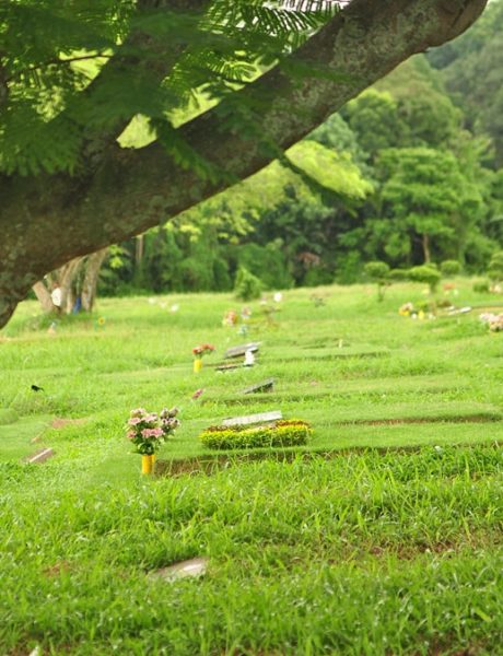 CCK Cemetery & Columbaria Now Open In Phase 2, Not More Than 5 Visitors ...