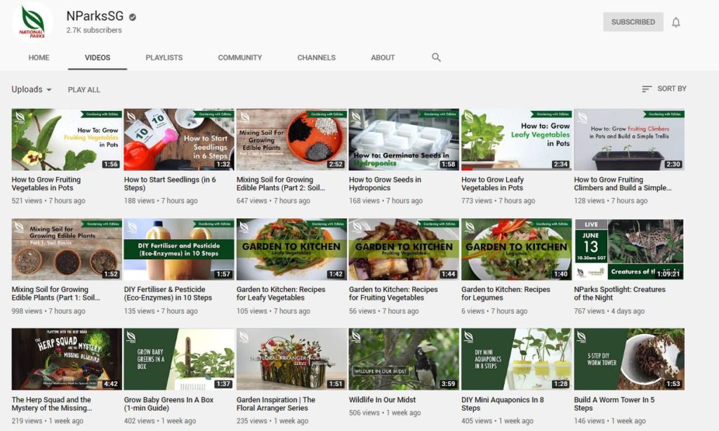 Free Seeds From NParks Will Allow S'poreans To Grow Kangkong & Tomatoes ...