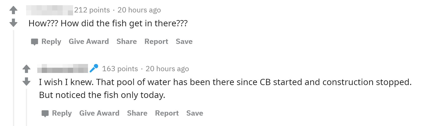 Netizen Spots Fish At MRT Worksite In Tanah Merah, Wonders How It Got There