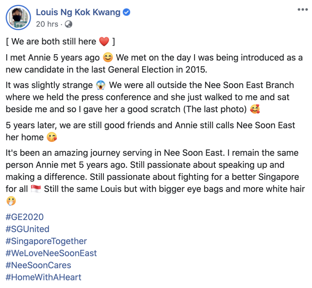 PAP's Louis Ng Pets Same Cat He Found During GE2015 In 2020, Says They ...