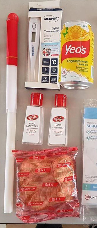NDP 2020 Funpack Items Go Viral, Includes 4 Disposable & Reusable Masks