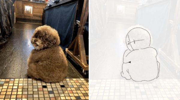 Fluffy Doggo's Ah Ma Perm & Human Poses Win Netizens’ Hearts
