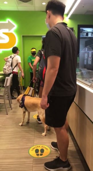 Subway Customer With Guide Dog Denied Entry, Brand Promises To Educate ...