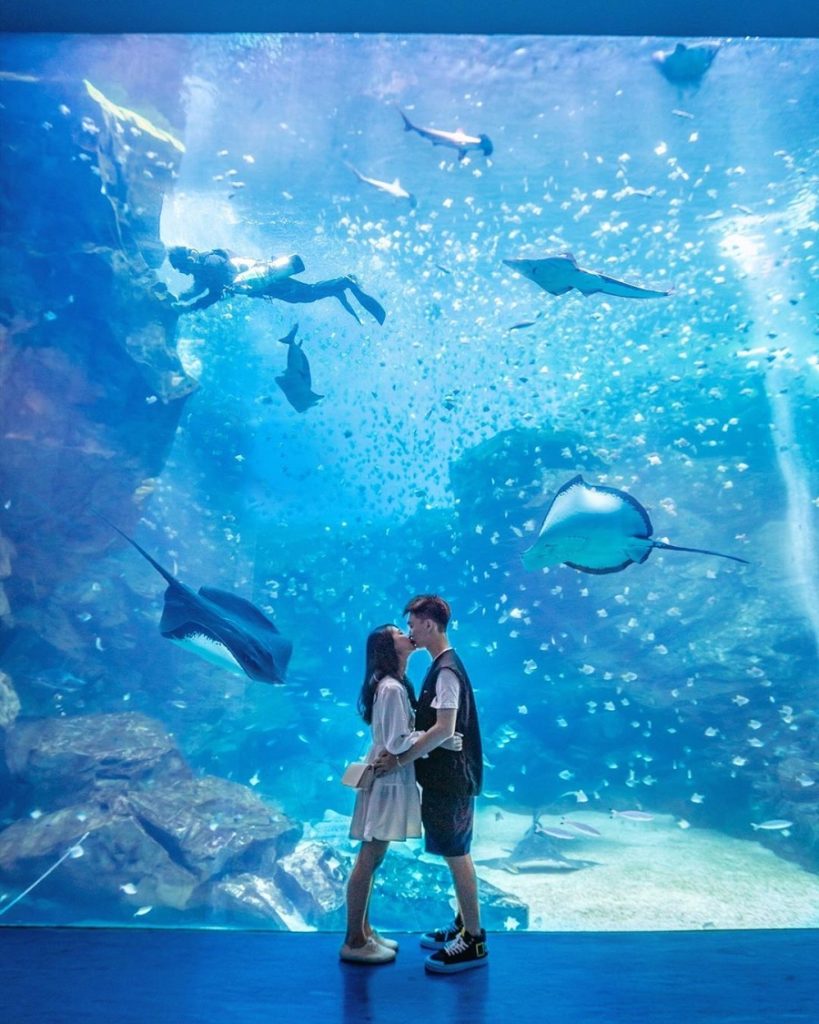 Taiwan's Xpark Aquarium Has Glowing Jellyfish Orbs & Pipe Penguin Maze Exhibits