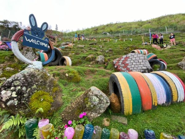 Rabbit Garden In M'sia Is As High As Genting Highlands, Can Pet Bunnies ...