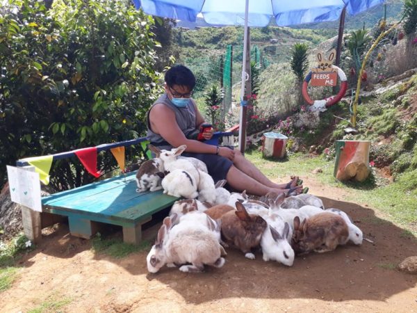 Rabbit Garden In M'sia Is As High As Genting Highlands, Can Pet Bunnies ...